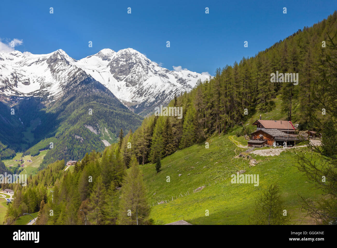 geography / travel, Italy, South Tyrol, Speckalm (mountain pasture ...
