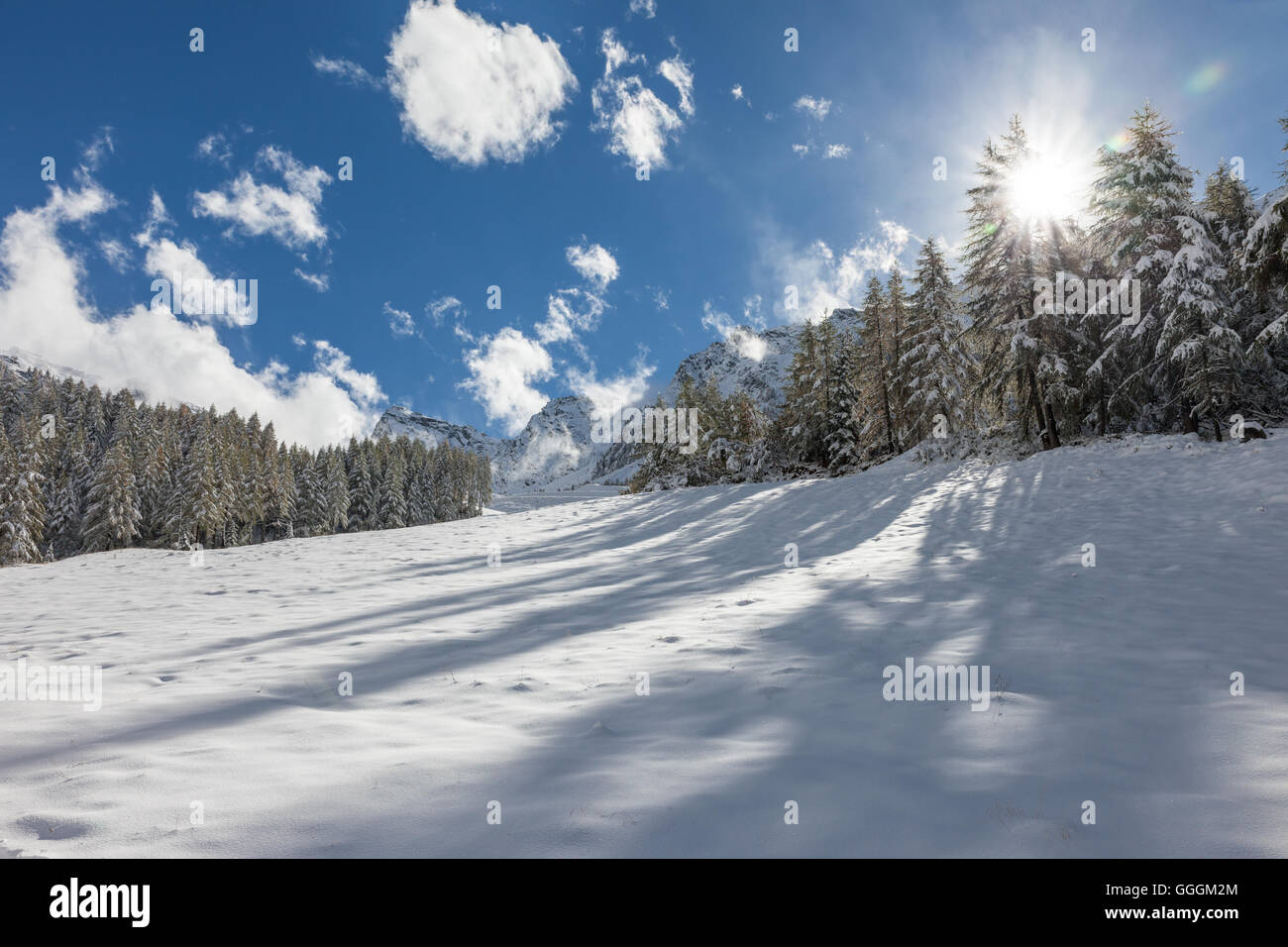 geography / travel, Italy, South Tyrol, snowy winter forest on the ...