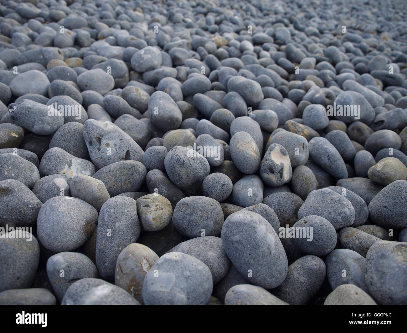 stone on the beach Stock Photo - Alamy