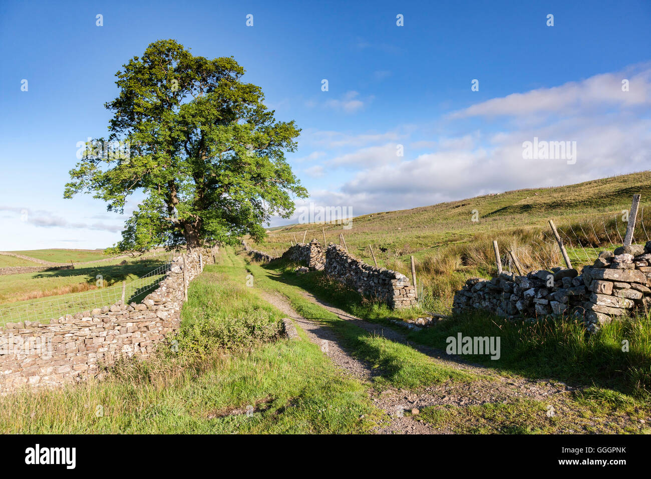 Above Askrigg, North Yorkshire Stock Photo - Alamy