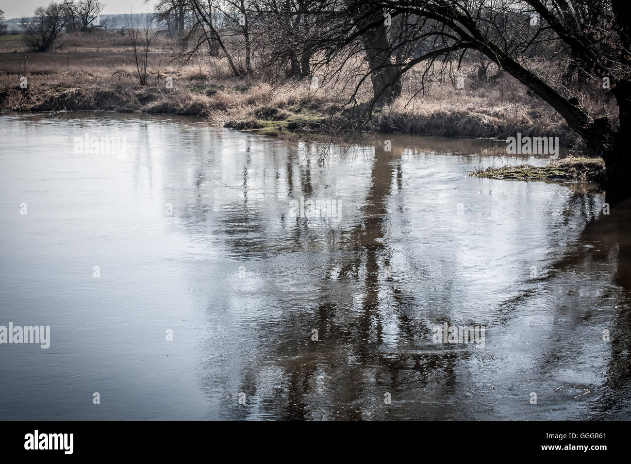 Reflective shadows of trees in the rapidly flowing river bed. Early ...