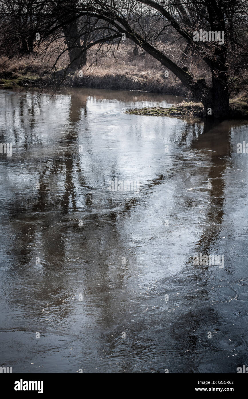 Reflective shadows of trees in the rapidly flowing river bed. Early ...