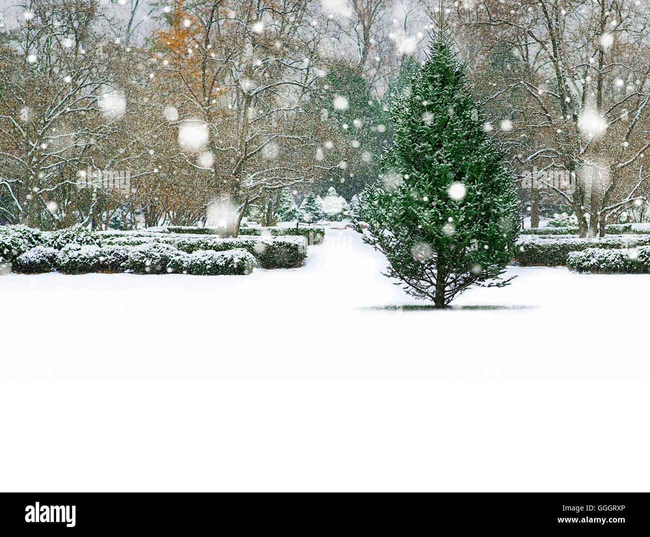 A Winter background, landscape with snow Stock Photo - Alamy