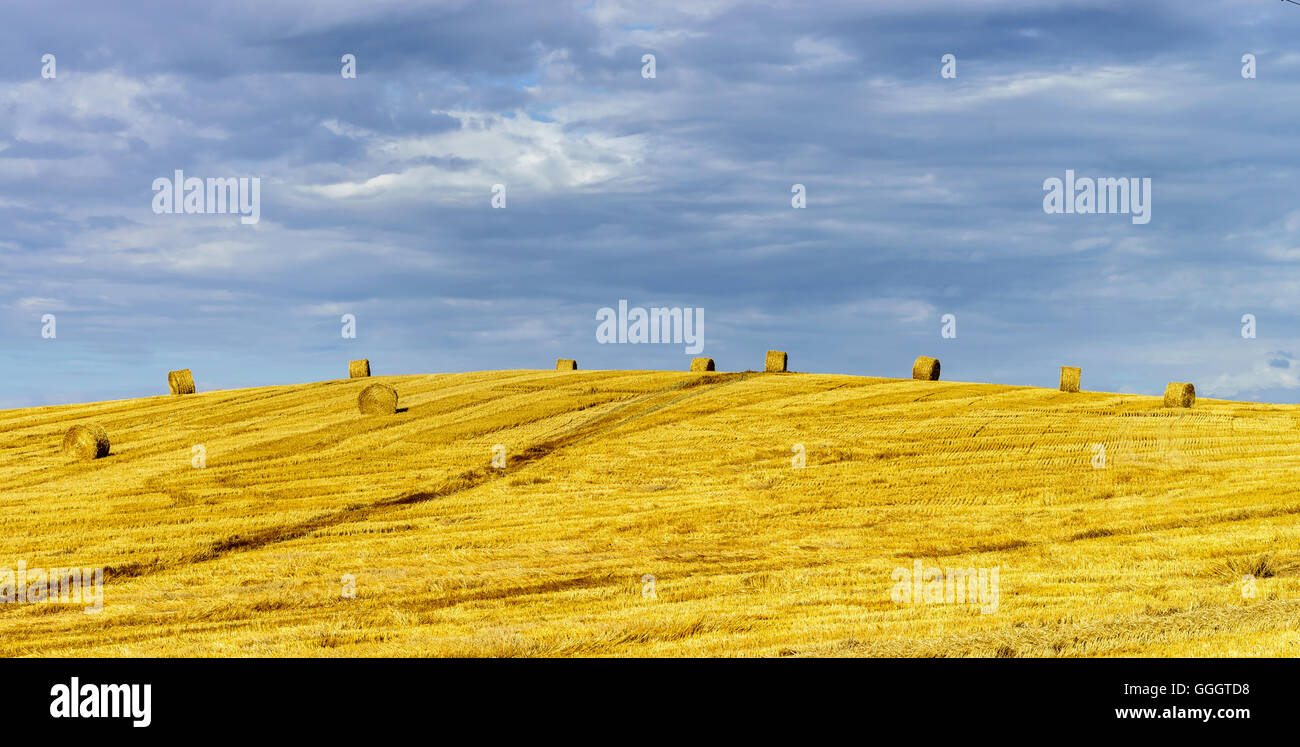 Beautiful yellow hill with haystacks at sunset, agricultural concept ...