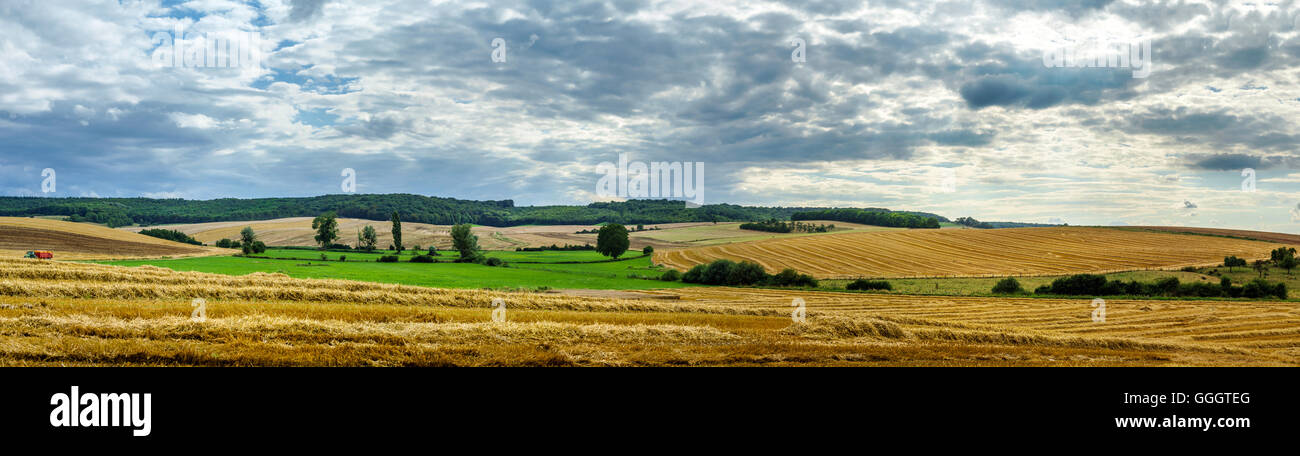 Wide panoramic view of colorful field, nature and agriculture, France ...