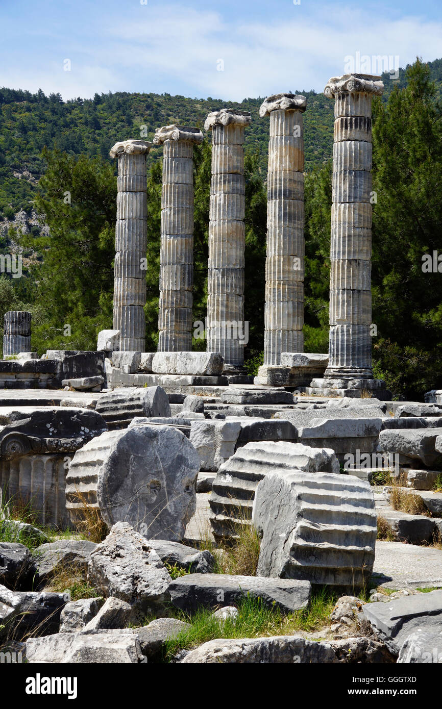 geography / travel, Turkey, Aegean Region, Priene, Five columns of he ...