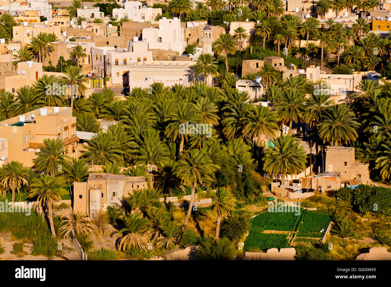 geography / travel, Oman, Sultanate of Oman, Bahla and fortress Hisn ...