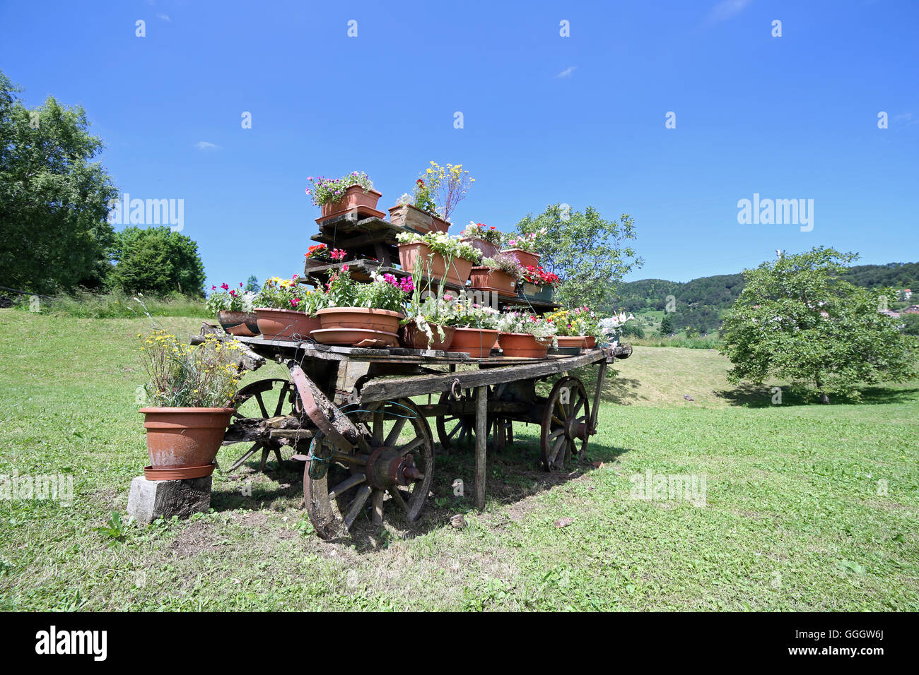 Wagon festooned hi-res stock photography and images - Alamy