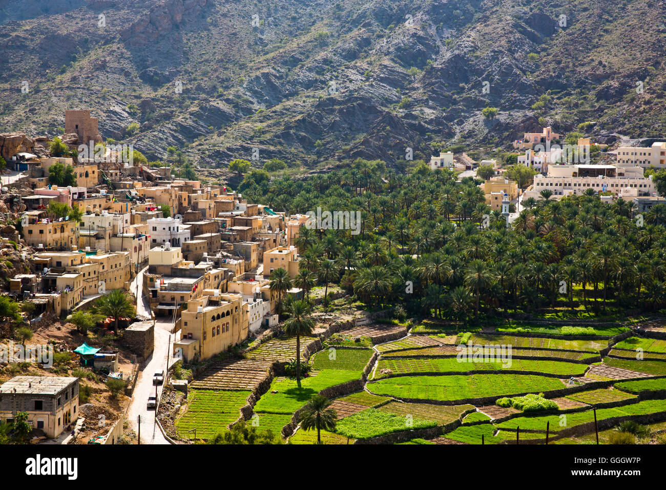geography / travel, Oman, Sultanate of Oman, wadi Bani Awf, oasis town ...