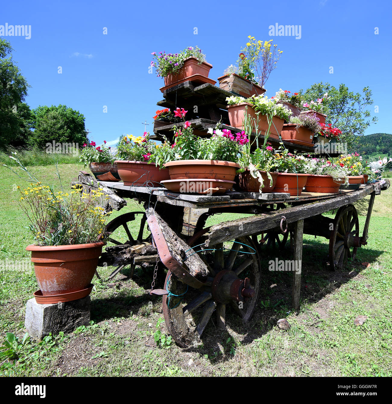 Wagon Festooned High Resolution Stock Photography and Images - Alamy