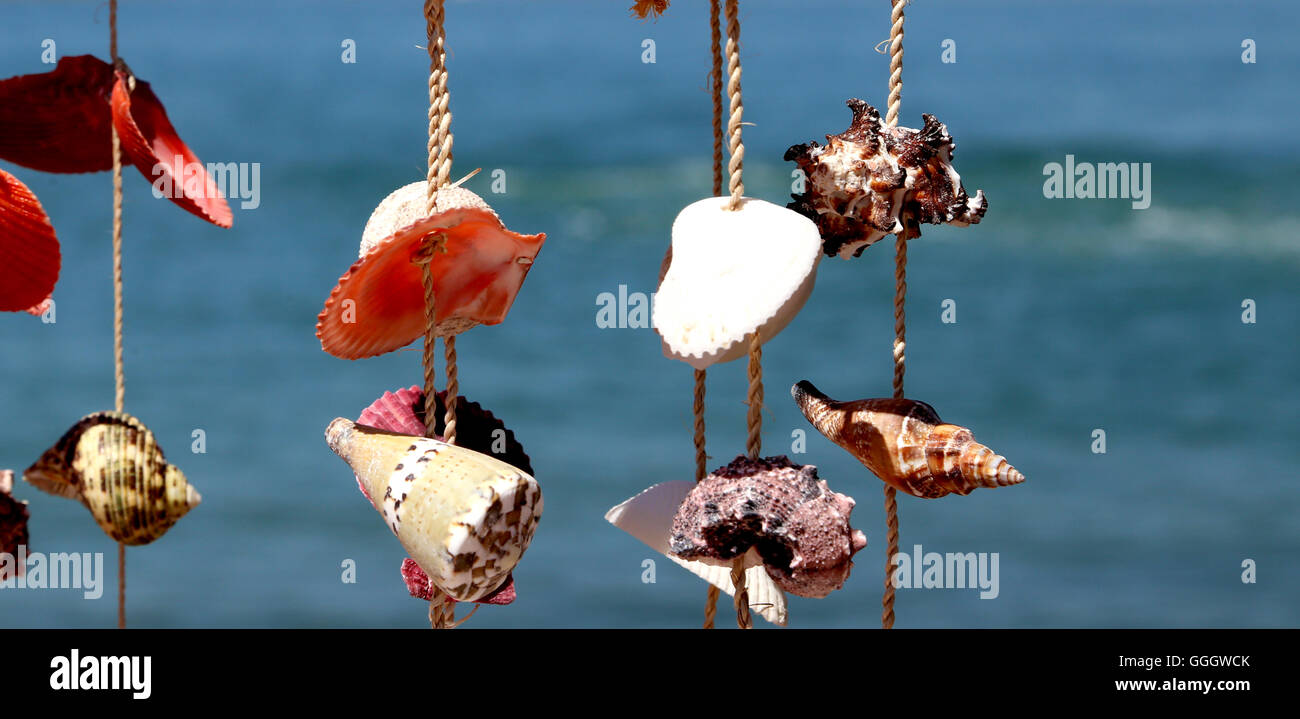 shells hanging from a wire to decorate the home Stock Photo - Alamy