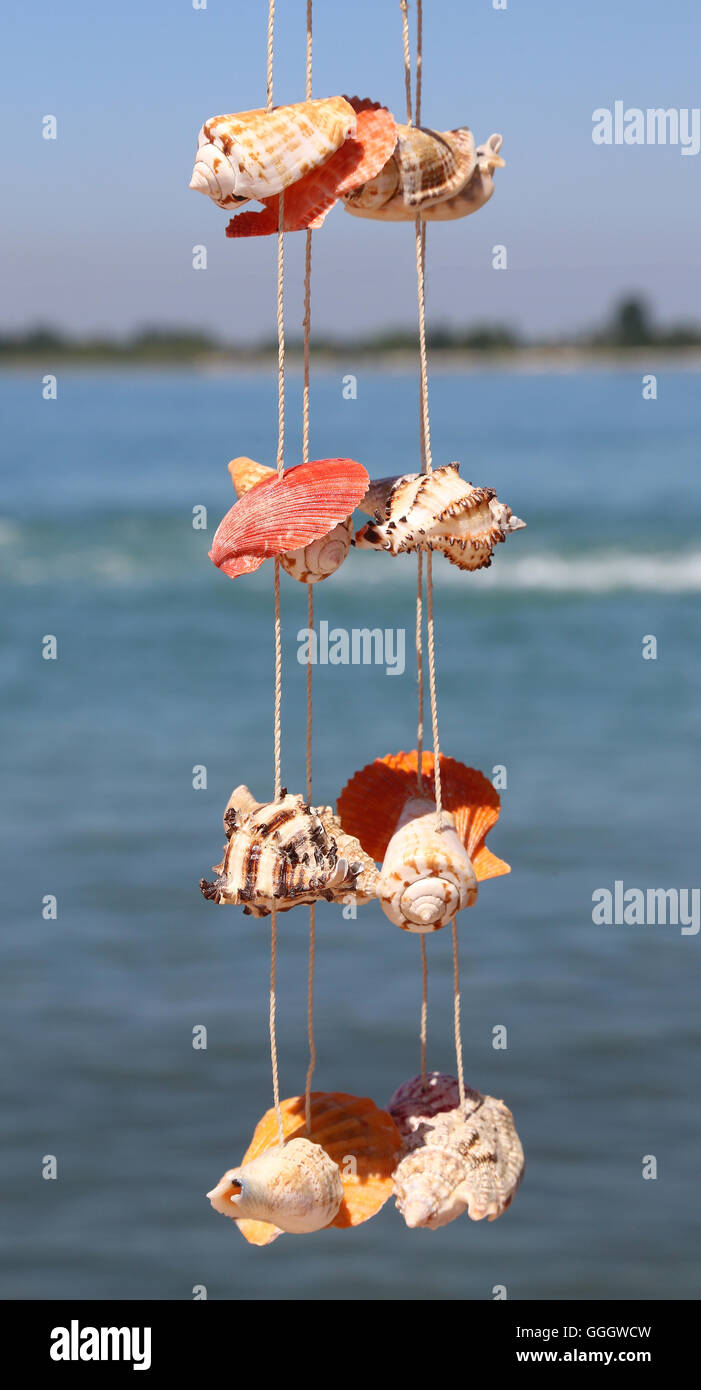shells hanging from a wire to decorate the House Stock Photo - Alamy