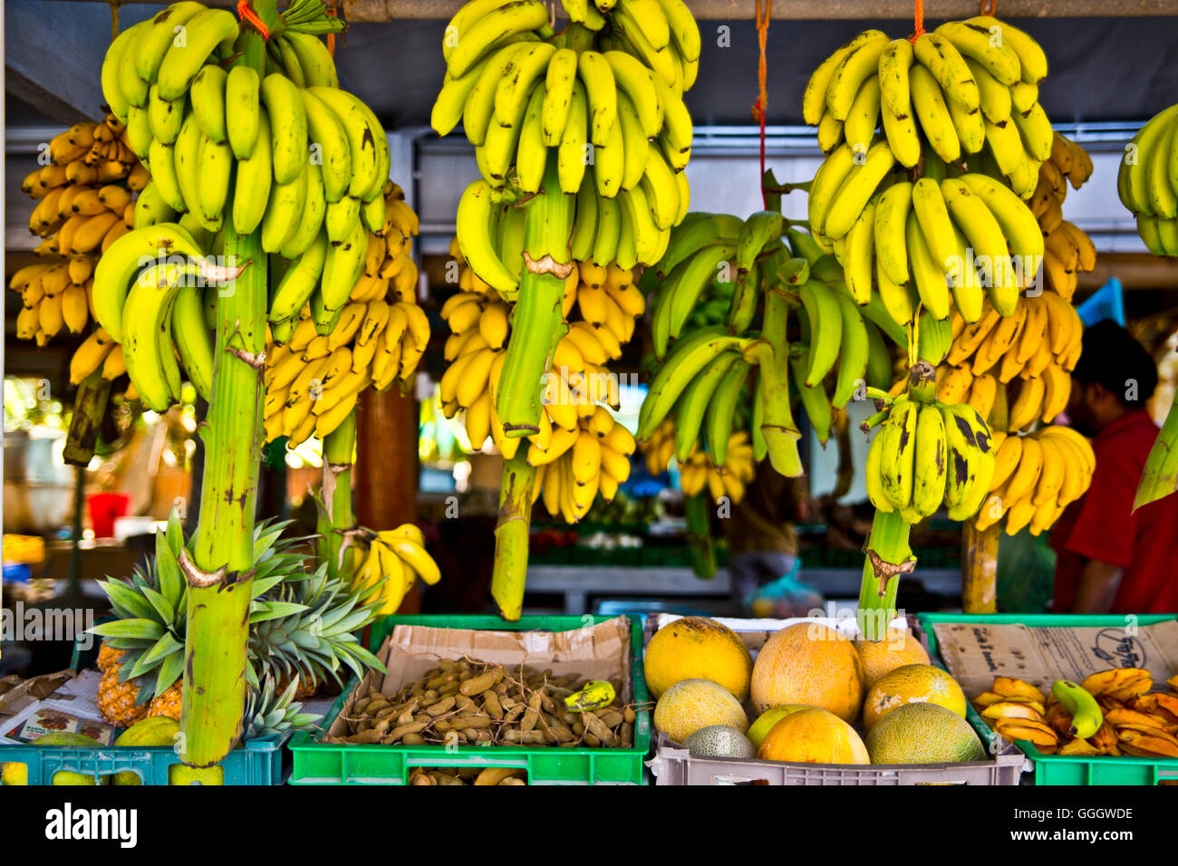 Oman fruit salalah hi-res stock photography and images - Alamy