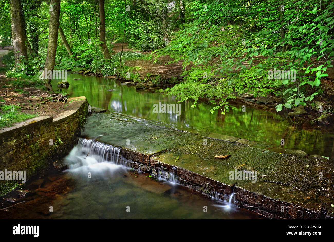 UK, South Yorkshire, Sheffield, Endcliffe Park, Porter Brook Waterfall ...