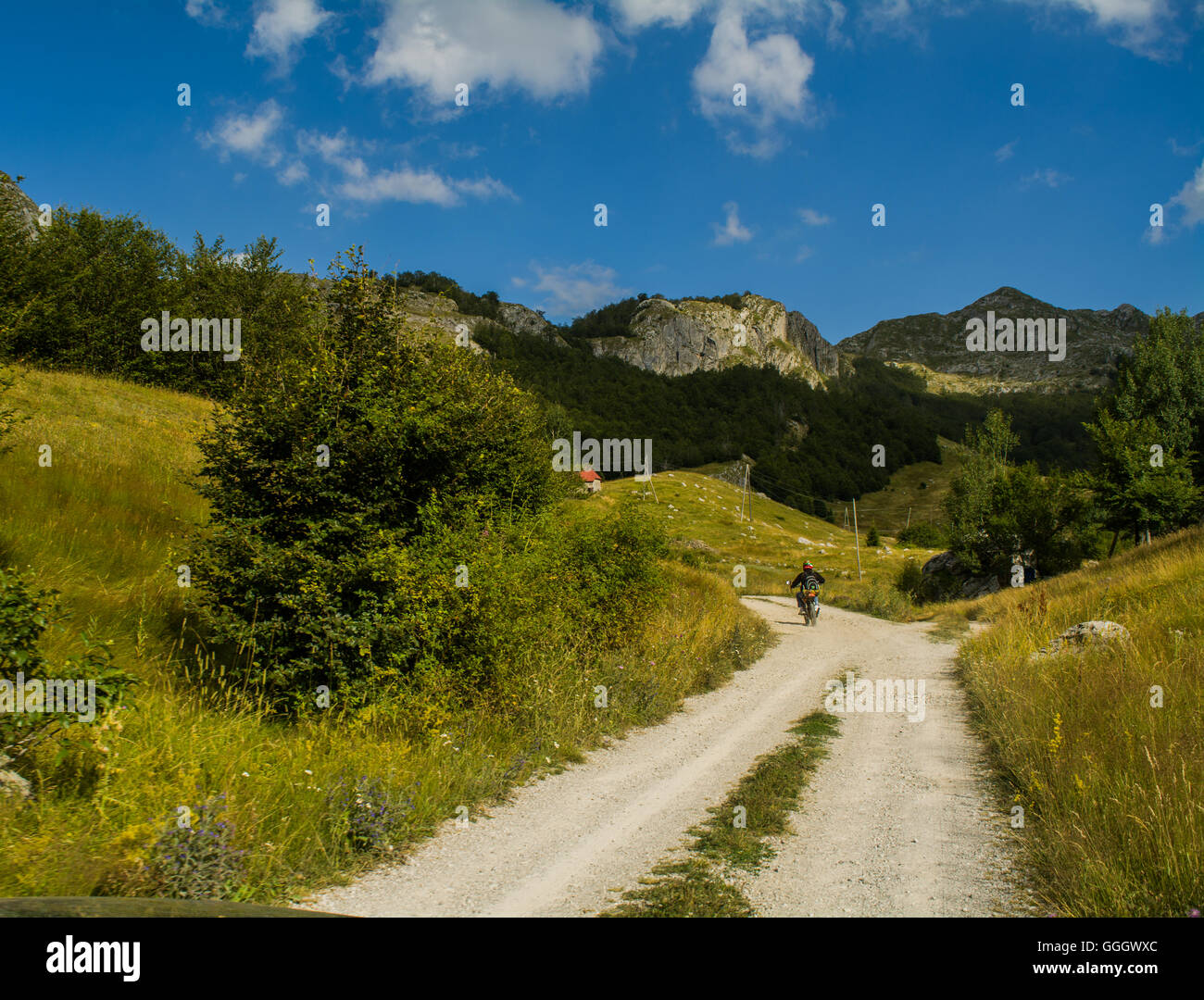 Motorcyclist on road in nature Stock Photo - Alamy