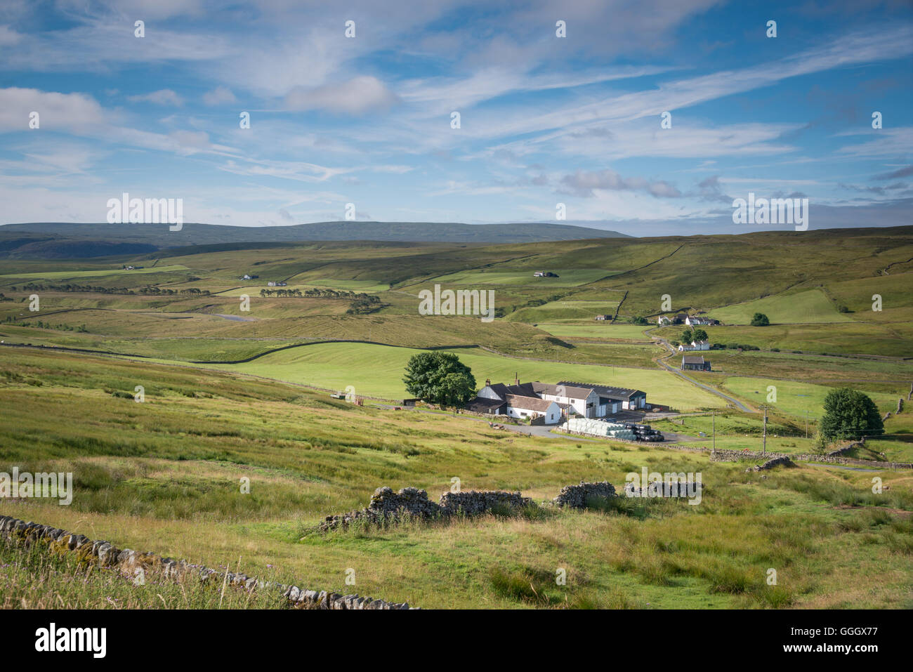 Teesdale landscape, County Durham, England, UK Stock Photo - Alamy