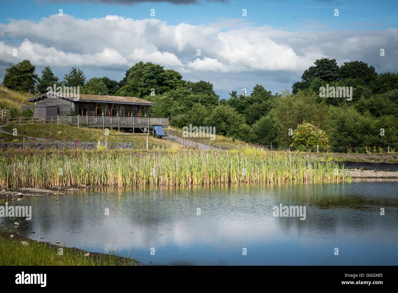 Weardale county durham hi-res stock photography and images - Alamy