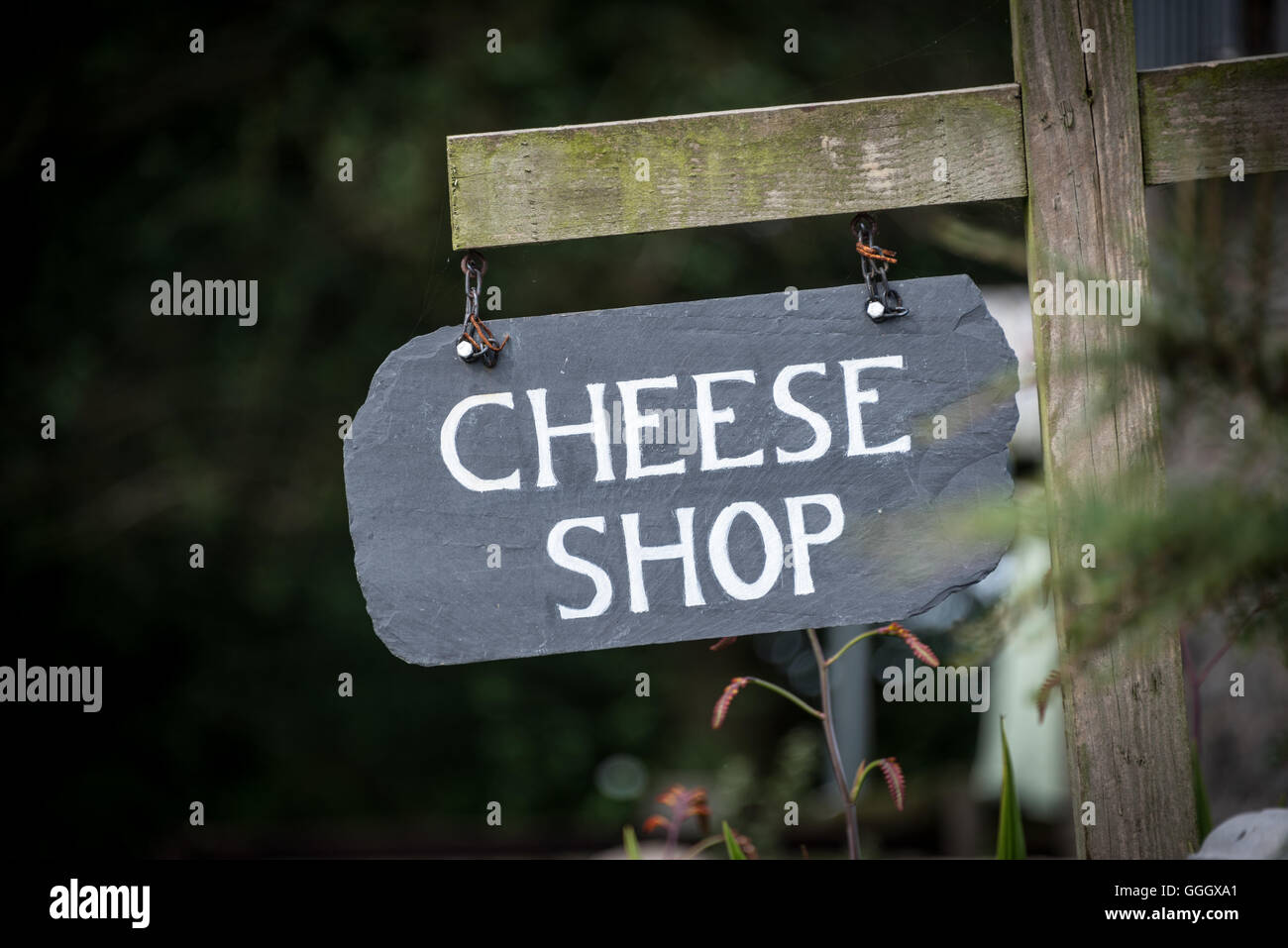 cheese shop sign, Northumberland, UK Stock Photo - Alamy