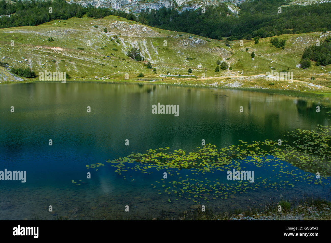 Lake surrounded by beautiful mountains Stock Photo - Alamy