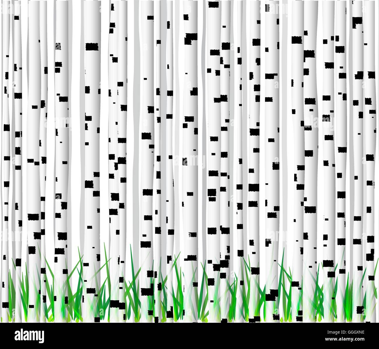 Abstract birch trees fall Stock Vector Images - Alamy