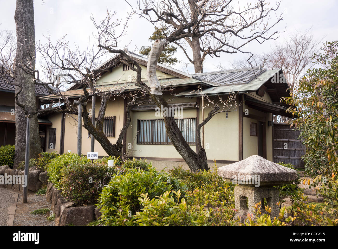 Ume Festival, Hanegi Park, Setagaya-Ku, Tokyo, Japan Stock Photo - Alamy