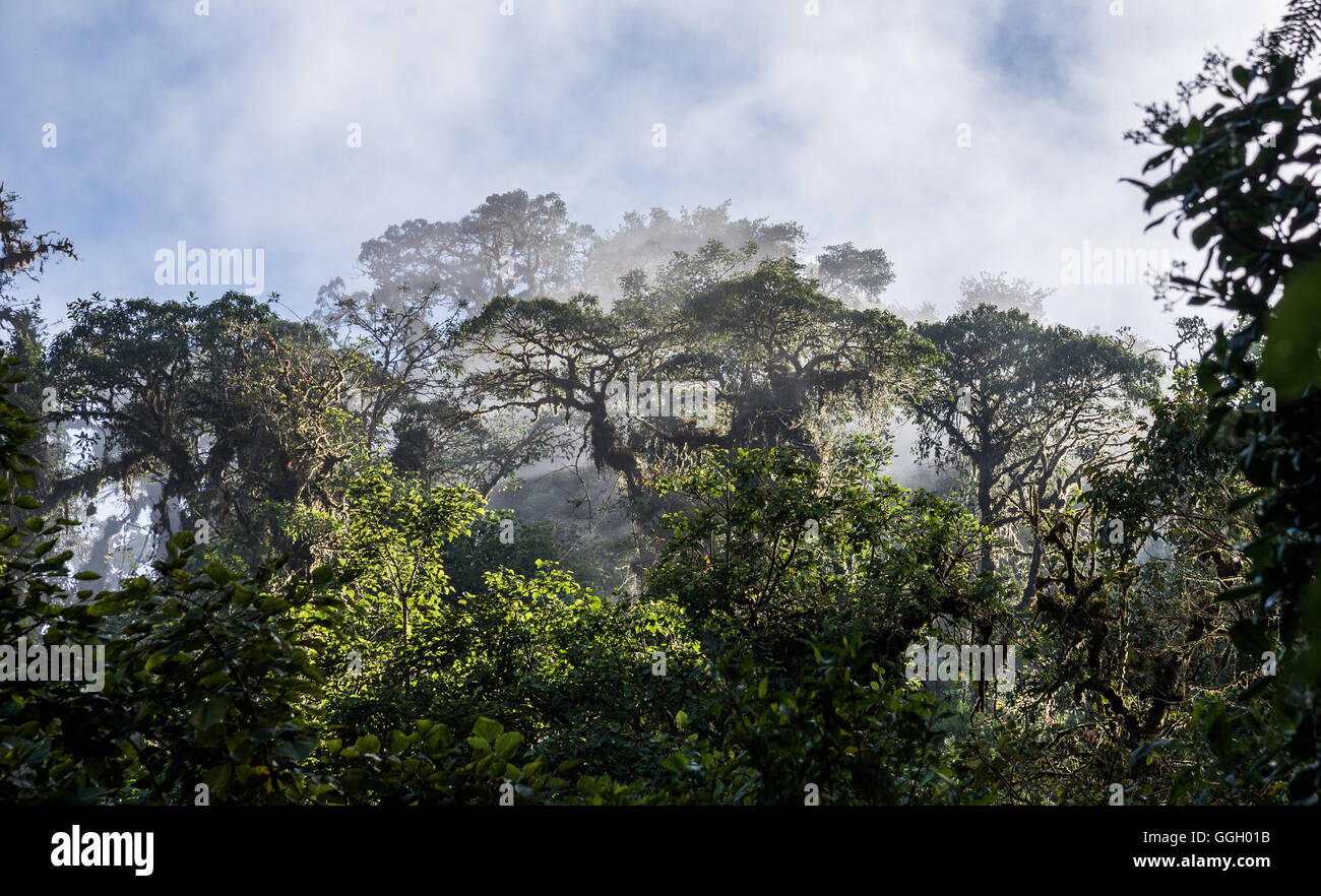 Andes mountains ecuador hi-res stock photography and images - Alamy