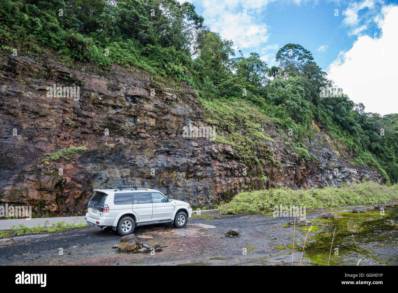 Roadside outcrop of organic-rich tar sand. Ecuador, South America Stock ...