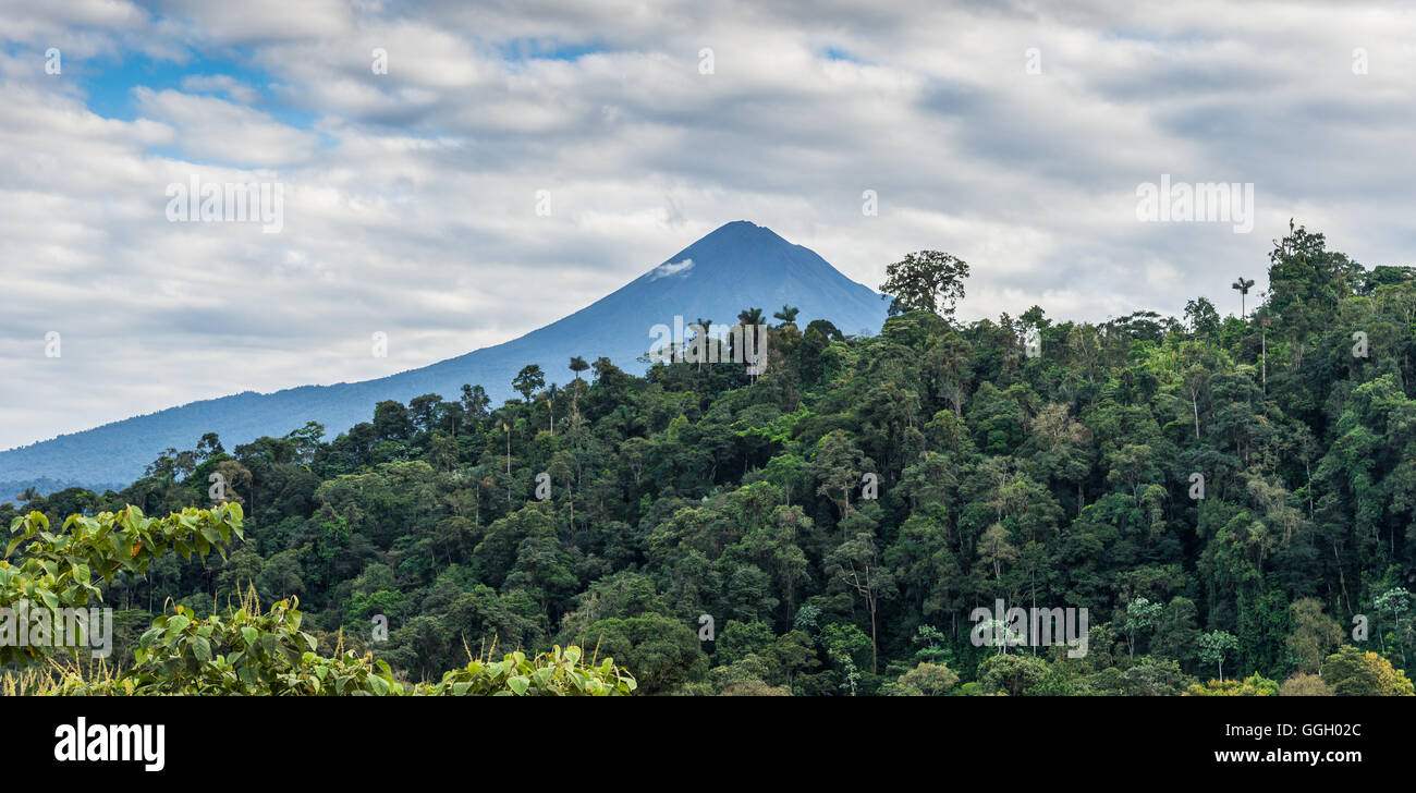 Volcan Sumaco, a stratovolcano cone, stands above tropical forest ...