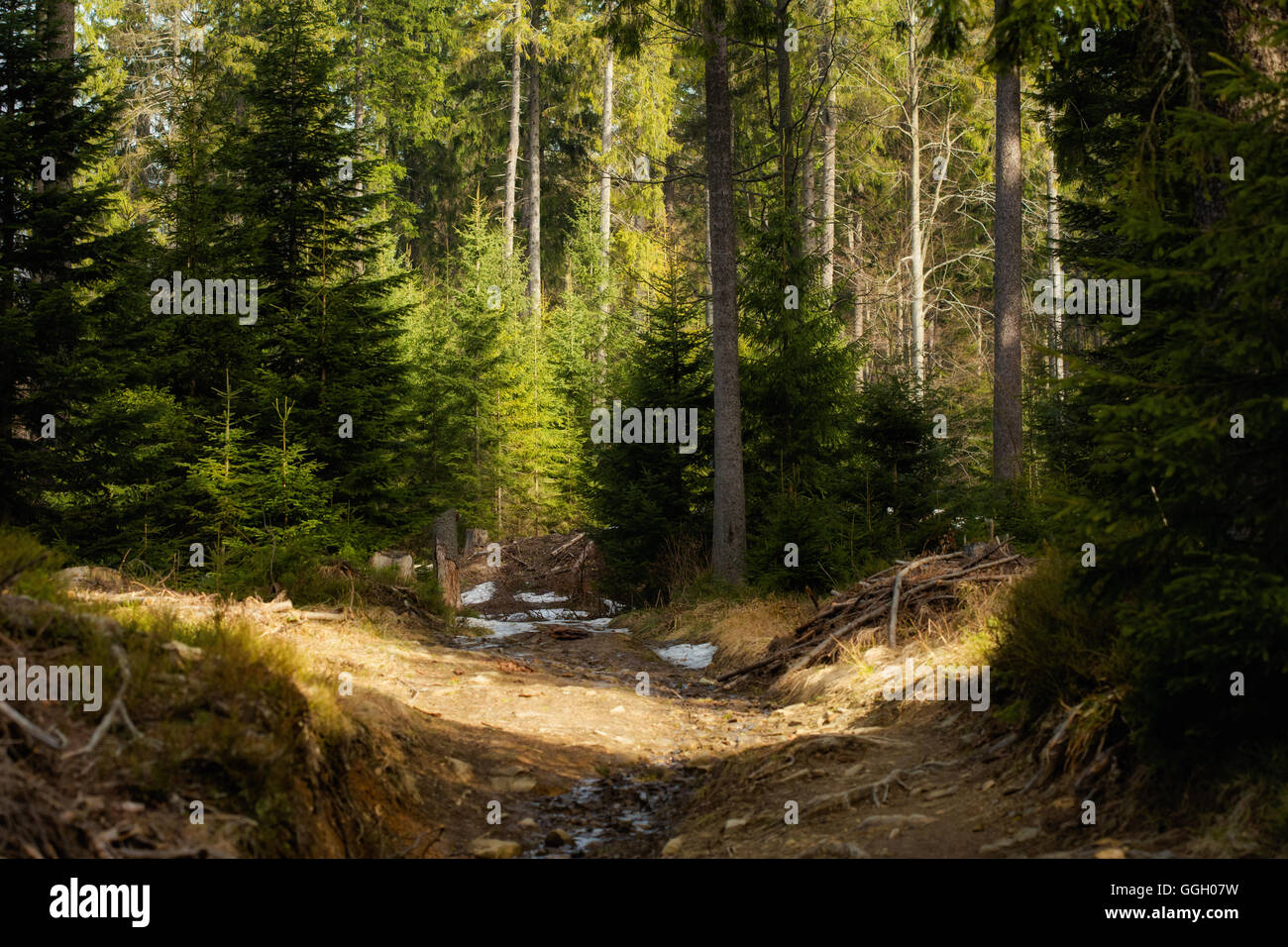 Little bit of snow hi-res stock photography and images - Alamy