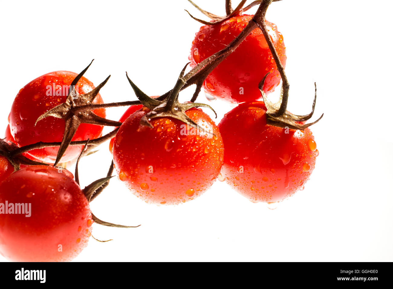 Tomato feed plant hi-res stock photography and images - Alamy