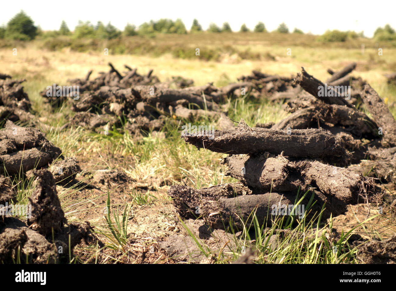 Peat Turf High Resolution Stock Photography and Images - Alamy