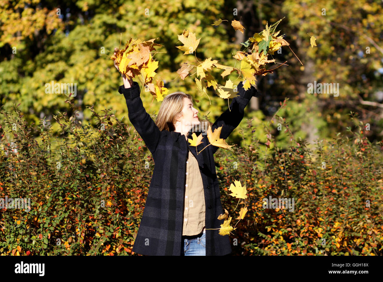 happy girl throwing autumn leaves Stock Photo - Alamy