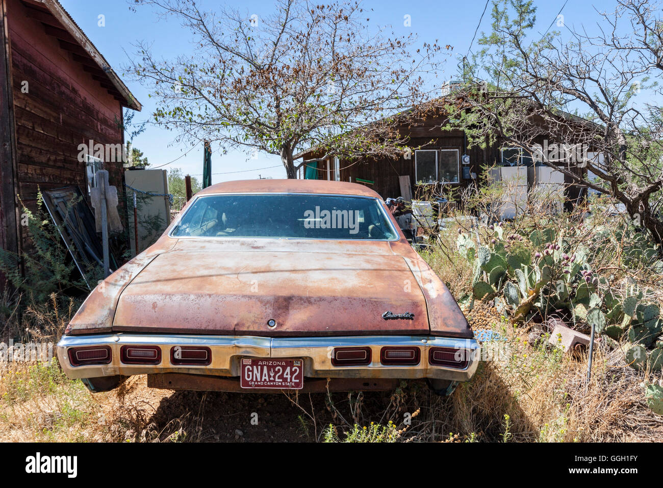 rear view of rusty classic 1960s 1969 chevrolet impala American car in ...