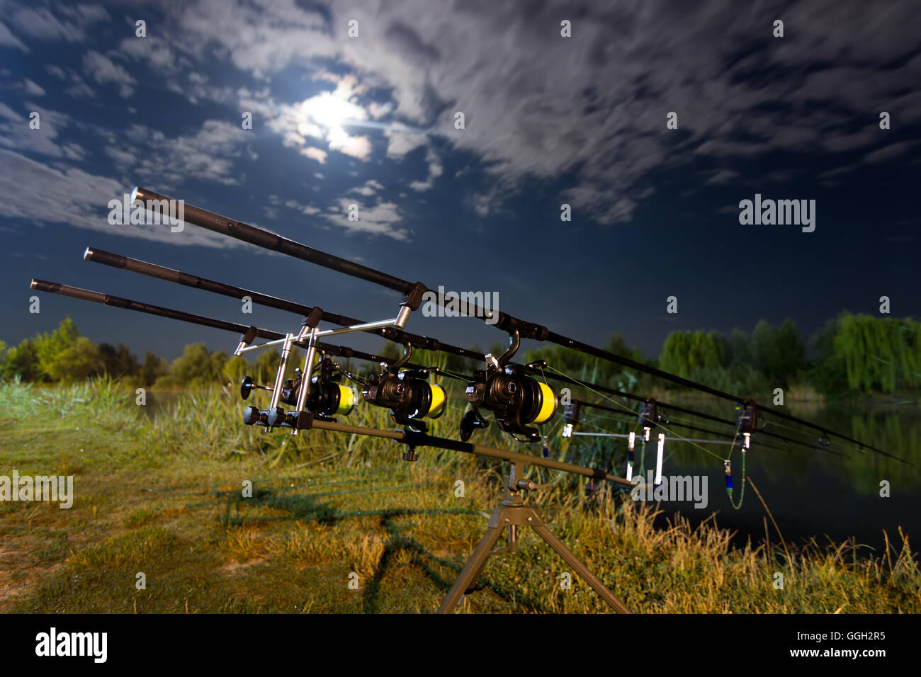 Carp spinning reel angling rods on pod standing. Night Fishing, Carp ...