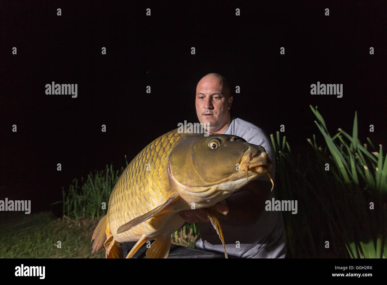 Angler with carp fishing trophy Carp and Fisherman, Carp fishing trophy ...