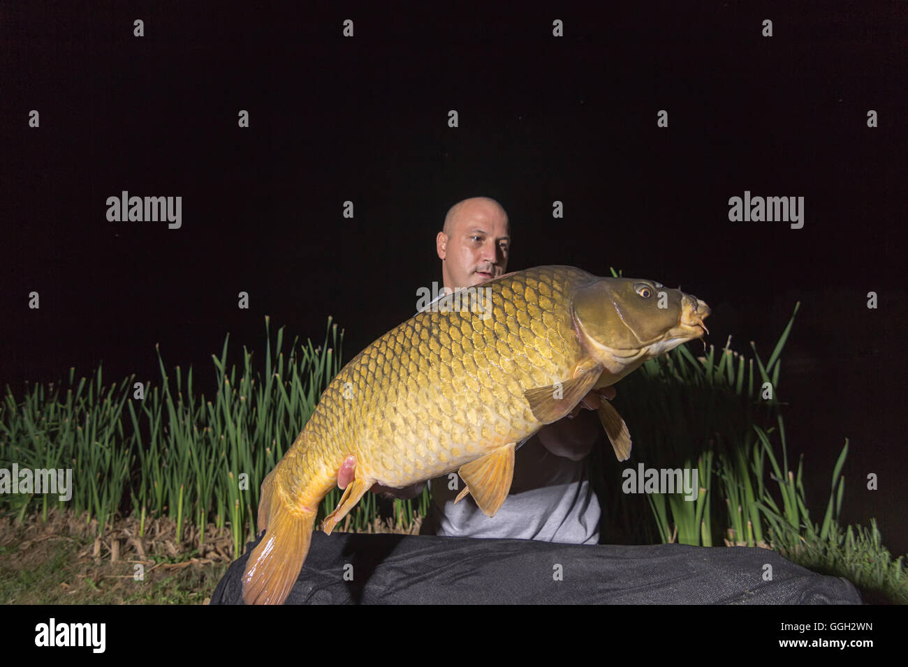 Angler with carp fishing trophy Carp and Fisherman, Carp fishing trophy ...