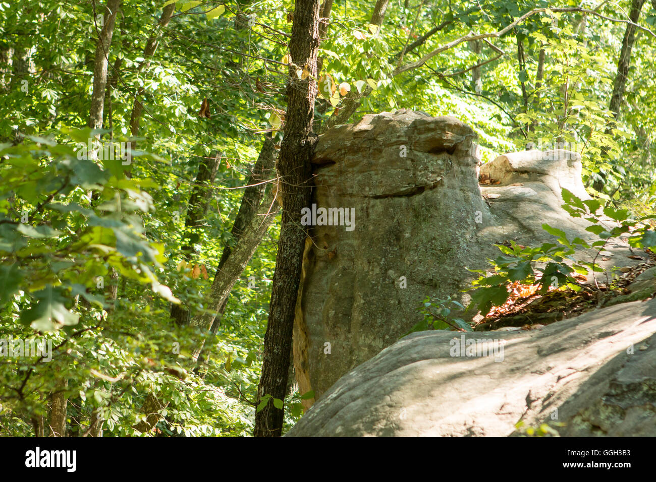 A happy rock on the mountain Stock Photo - Alamy