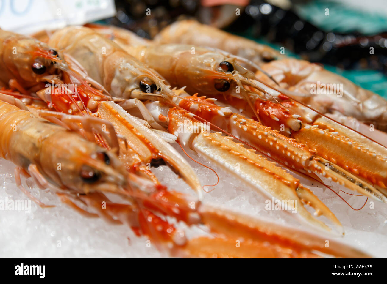 fresh Nephrops on sale at market Stock Photo - Alamy