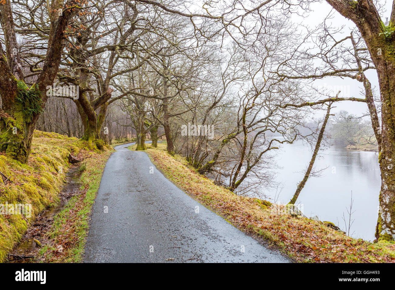 Glen orchy hi-res stock photography and images - Alamy