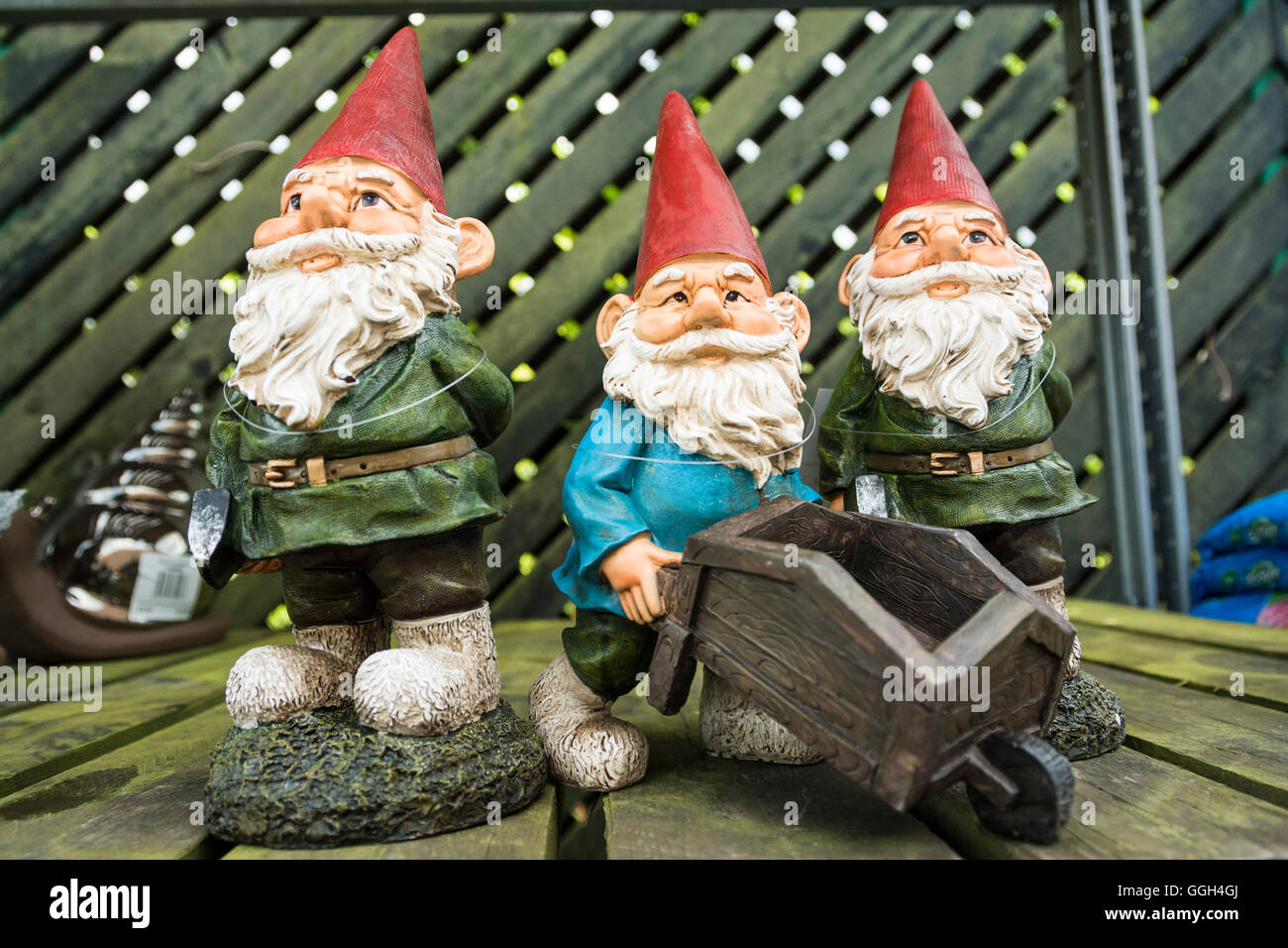 Three Garden Gnomes Stock Photo - Alamy