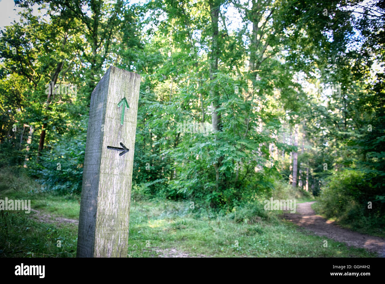 Arger hi-res stock photography and images - Alamy