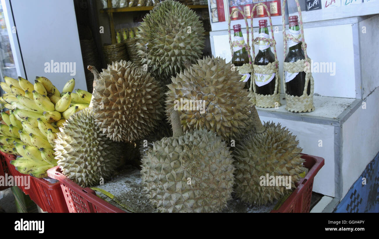 Durian fruit, Indonesia. Regarded by many people in southeast Asia as ...
