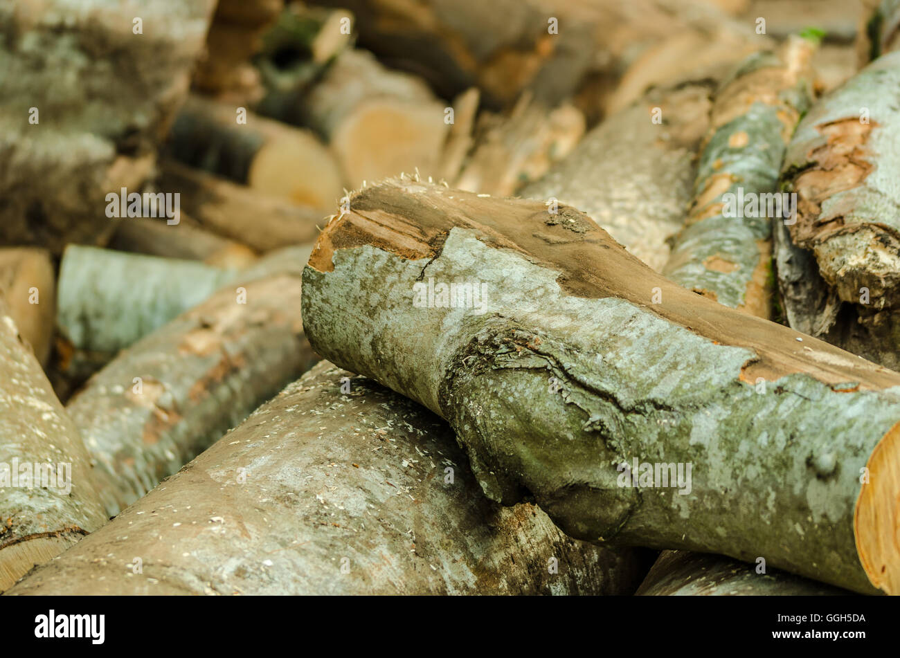 Freshly piled logs hi-res stock photography and images - Alamy