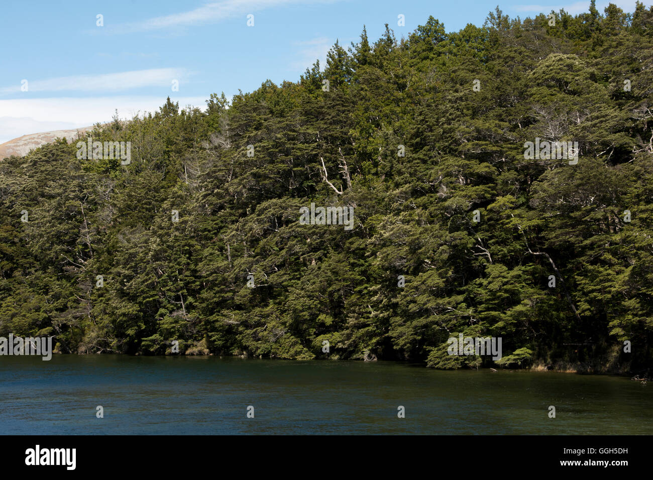 Mararoa river hi-res stock photography and images - Alamy