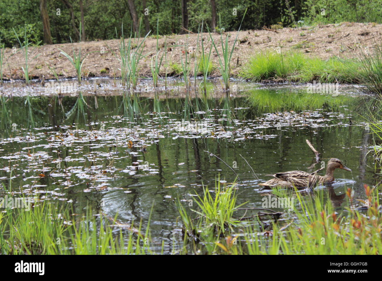 California Country Park Stock Photo - Alamy