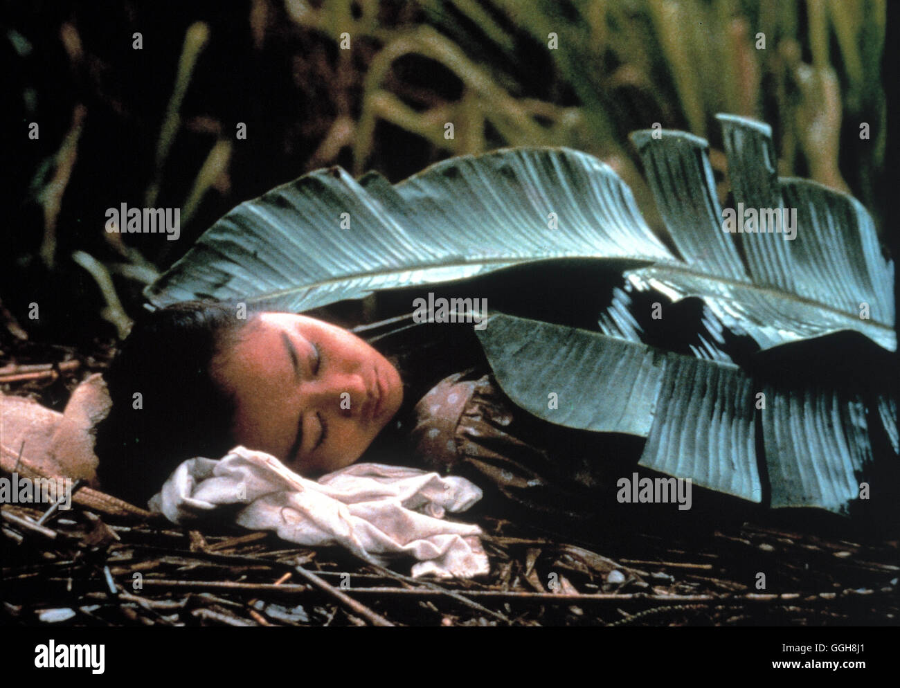 Youki kudoh film hi-res stock photography and images - Alamy