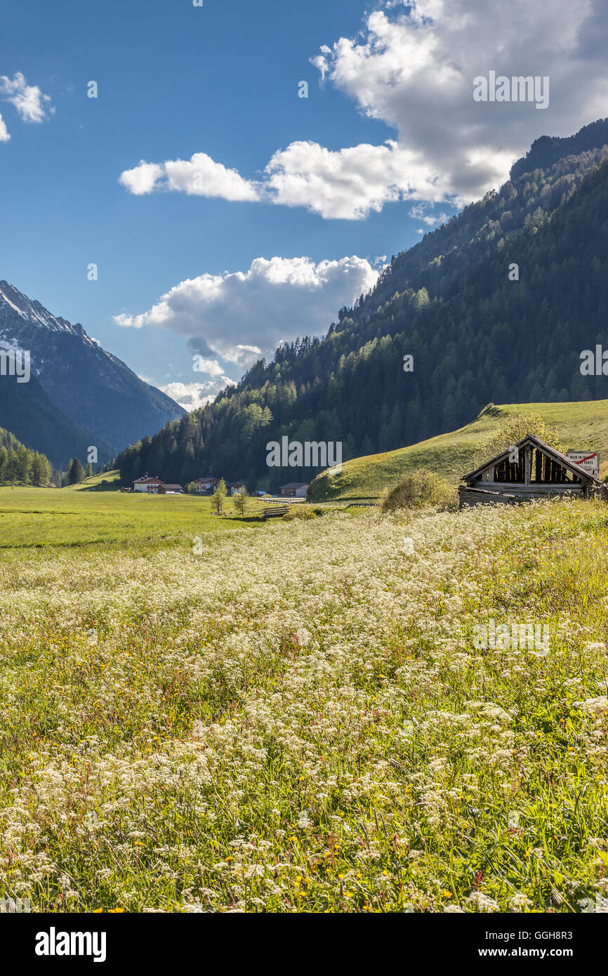 geography / travel, Italy, South Tyrol, summer meadow in Rein in ...