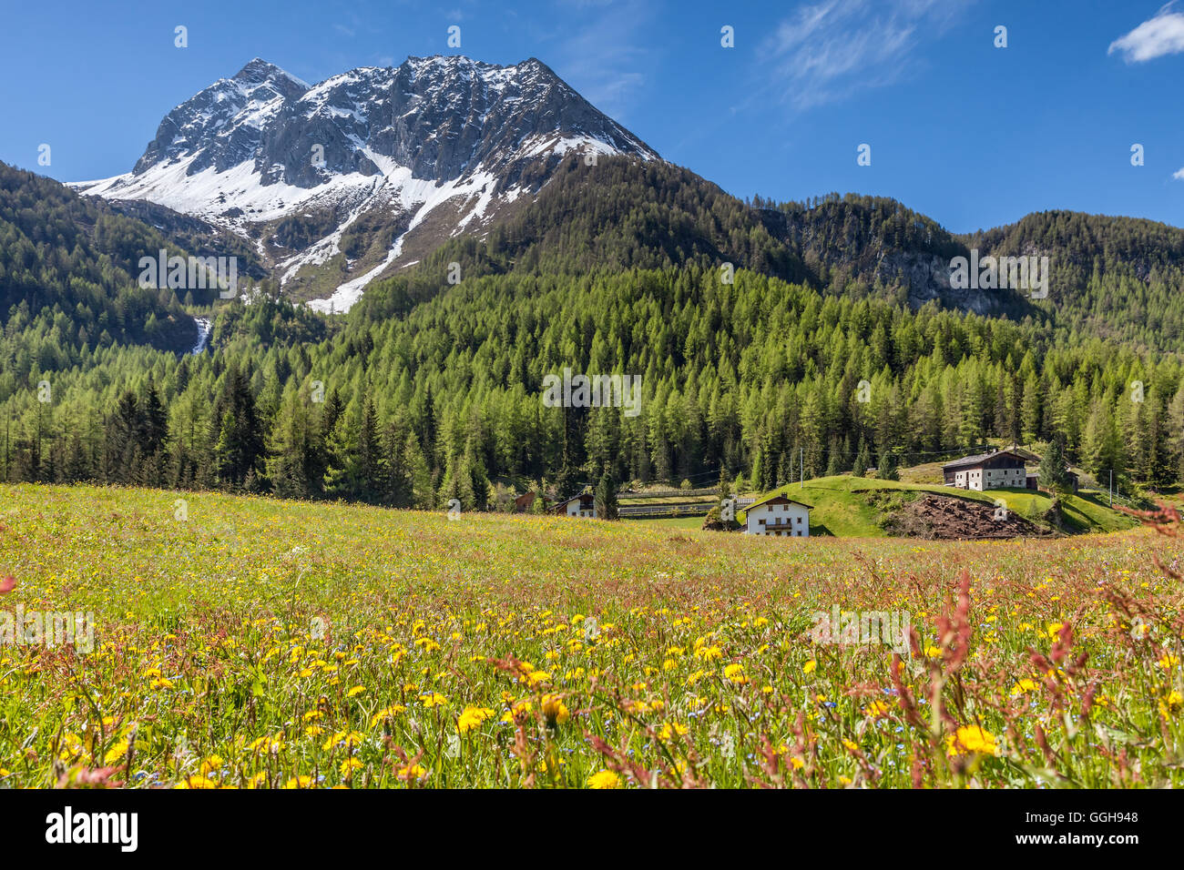 Summer tyrol hi-res stock photography and images - Alamy
