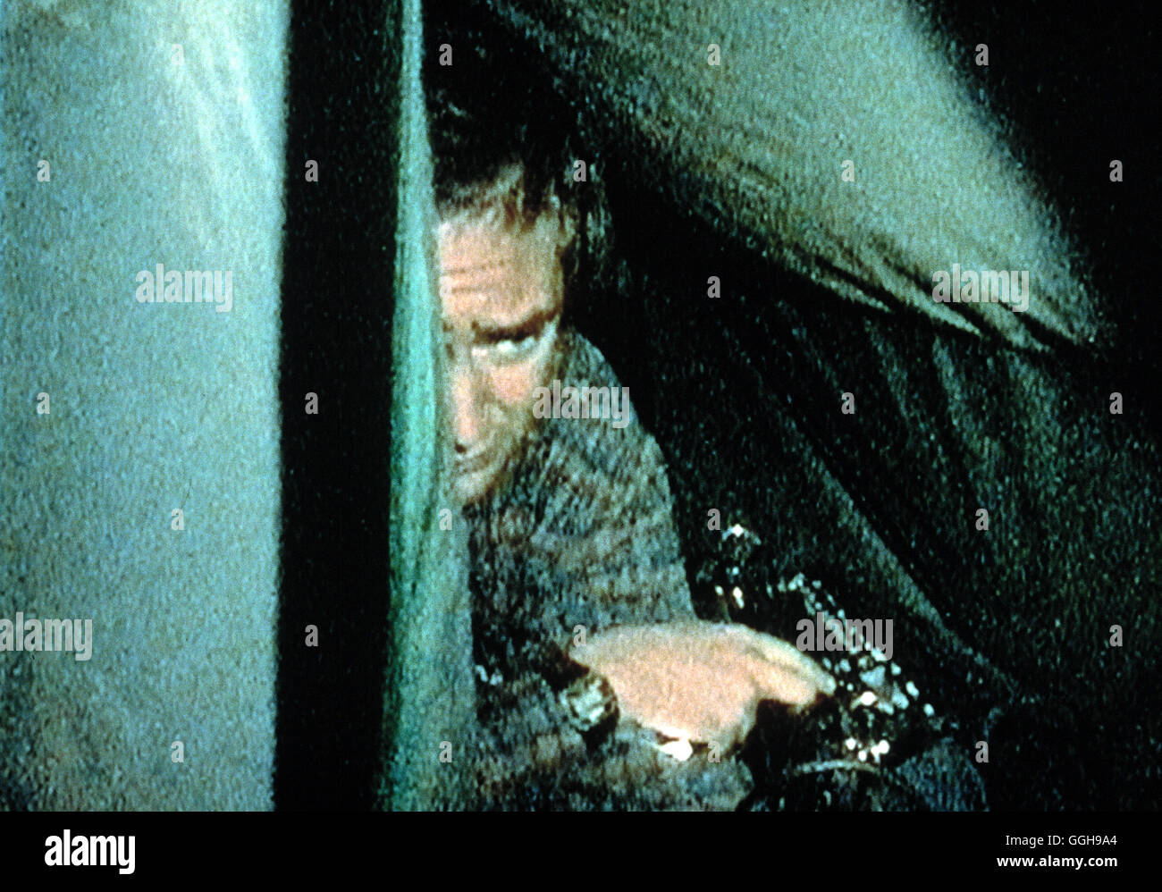 THE BLAIR WITCH PROJECT / The Blair Witch Project USA 1998 / Daniel ...