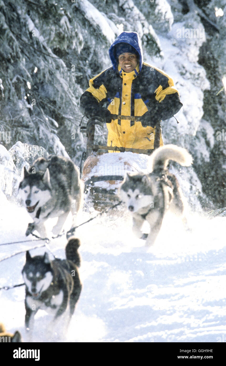 SNOW DOGS - 8 HELDEN AUF 4 PFOTEN / Snow Dogs USA 2002 / Brian Levant ...